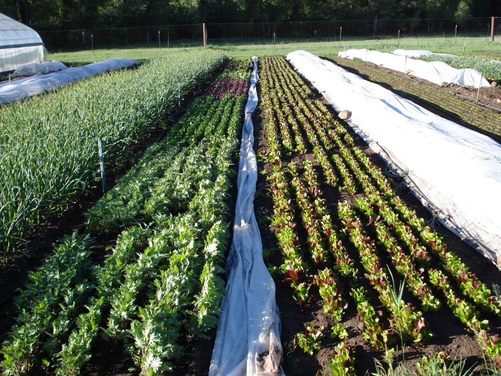 Park City Event Guide: Friday, July 20 – Sunday, July 22