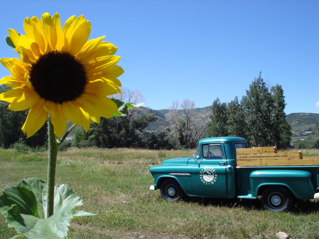 Park City Event Guide: July 27 – 29