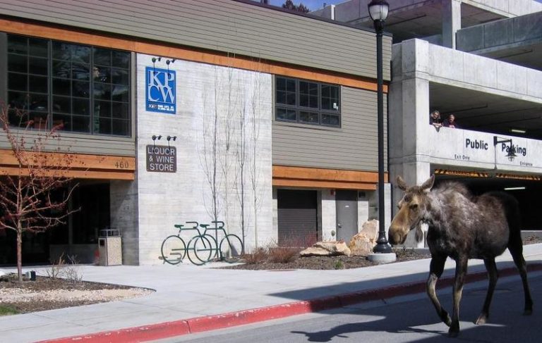 Nonprofit Highlight: KPCW