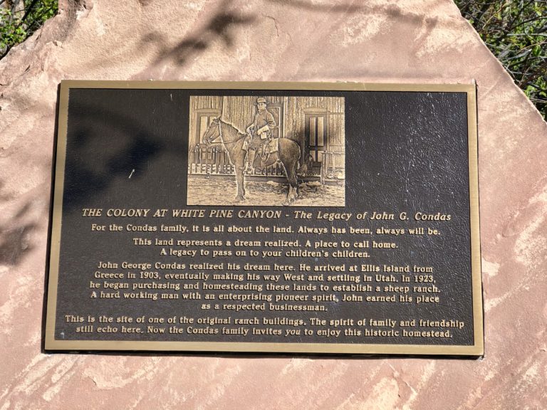 It’s All About The Land