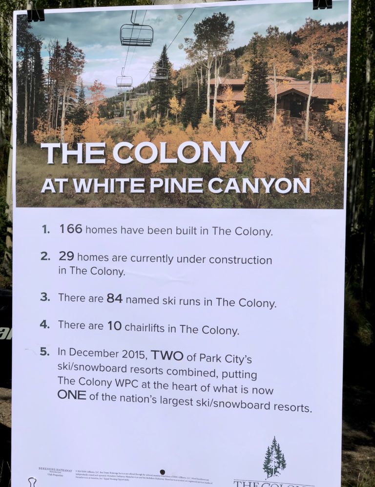 FALL in Love with The Colony